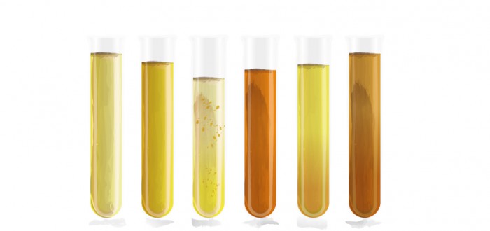 Urinfunktionstherapie - Praxis am Taubenberg